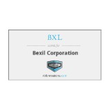 Bexil Share Price - PNK:BXLCD Stock Research | Stockopedia