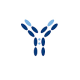 BioPorto A/S Share Price - CPH:BIOPOR Stock Research | Stockopedia