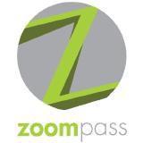 Zoompass Holdings (Pre-Reincorporation) (PNK:ZPAS) Balance Sheet (Feb ...